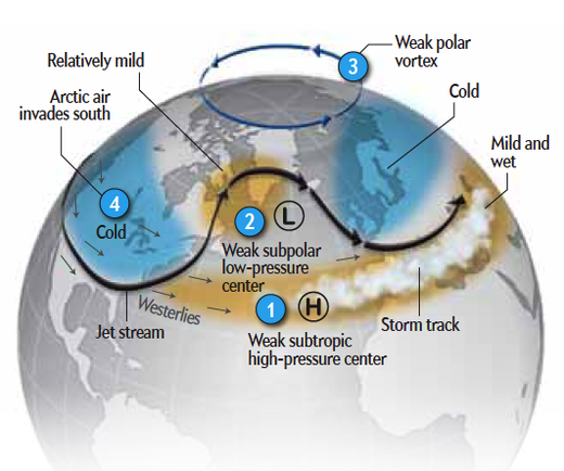 Polar Vortex Brings Sub-Zero Temperatures To The US Kids News Article